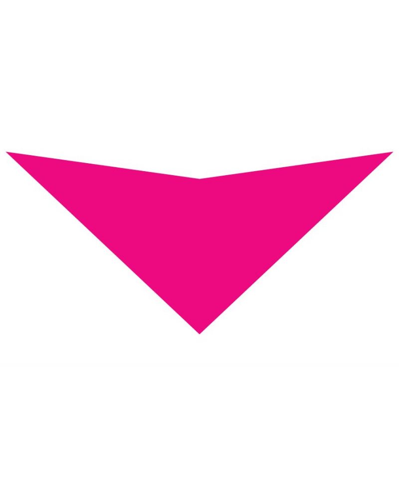 Hot Pink Bandana for Dogs - Buy Online Now!