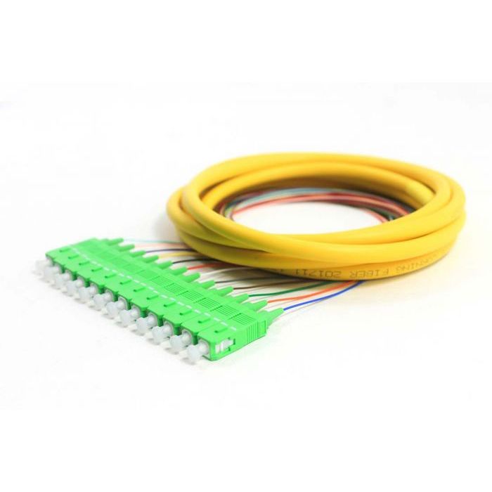 Buy 12 Fiber Distribution Pigtail, Sm, Sc/Apc, 3m Online at Affordable ...