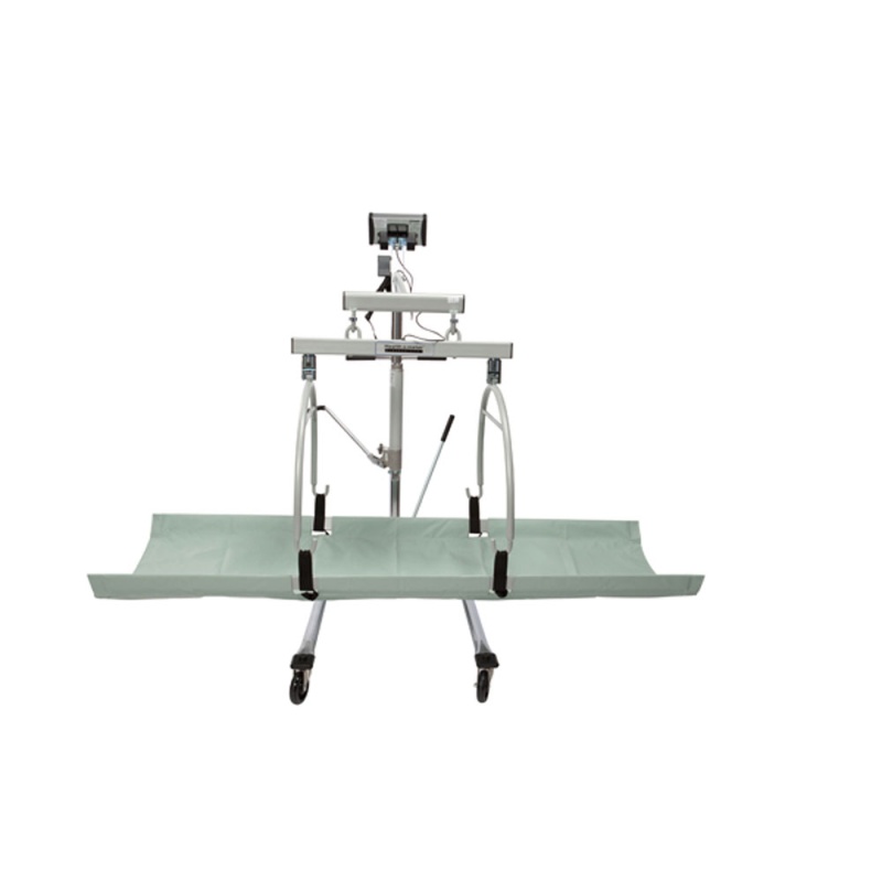Health O Meter Professional Patient Lift Scale