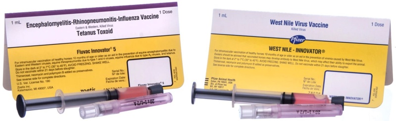Zoetis Vaccination Kit W/ West Nile (5-Way Vaccine + Wnv) for Horses ...