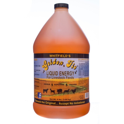 Livestock Golden Flo Liquid Energy, Gallon - Enhance Your Livestock's ...