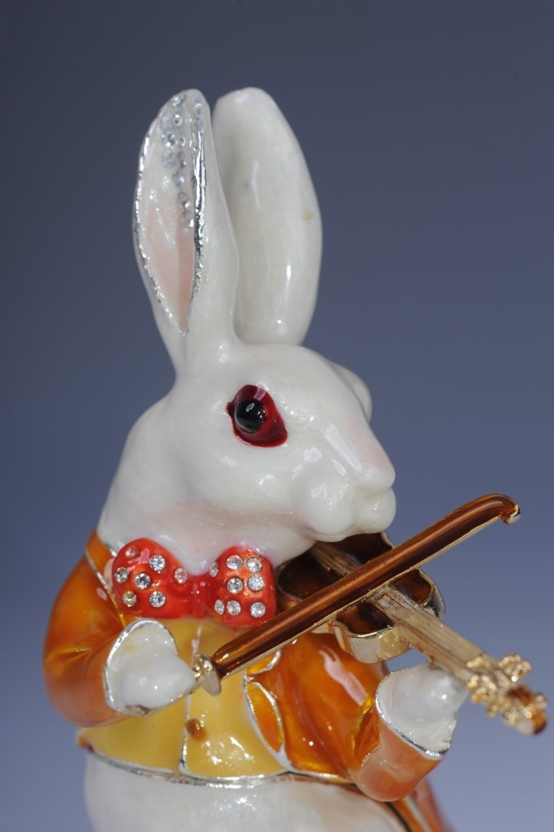 Rabbit Playing The Violin