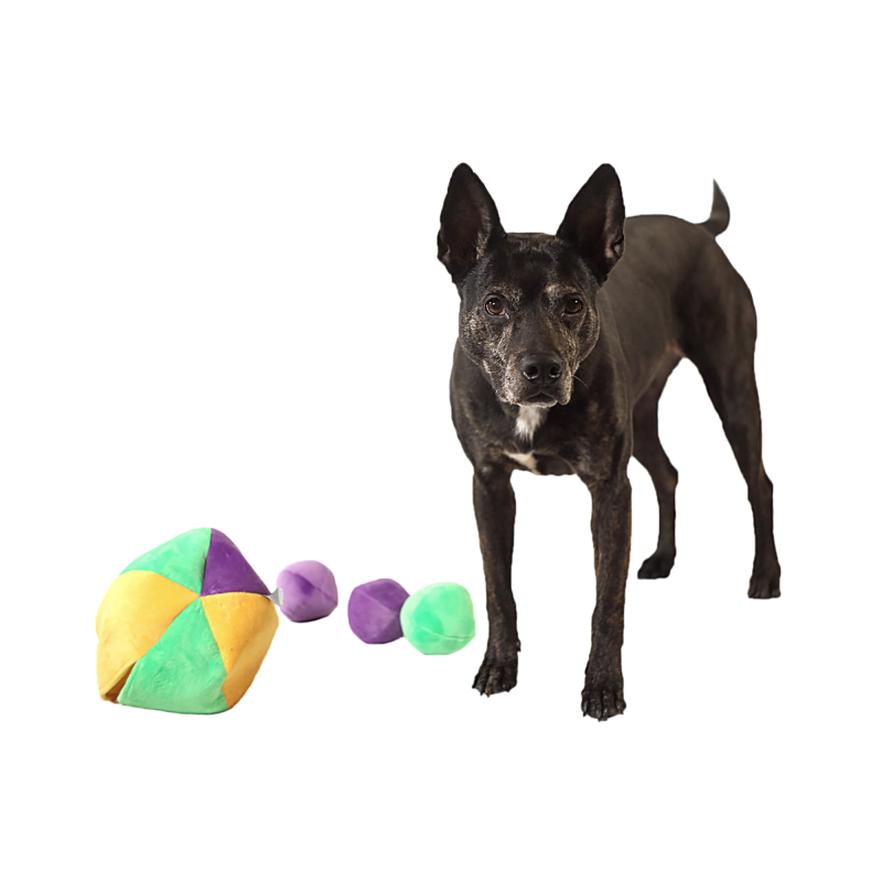 Midlee Hide A Ball Dog Puzzle Toy