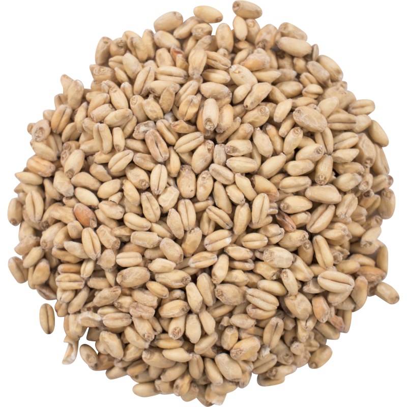 White Wheat Malt - Great Western Malting