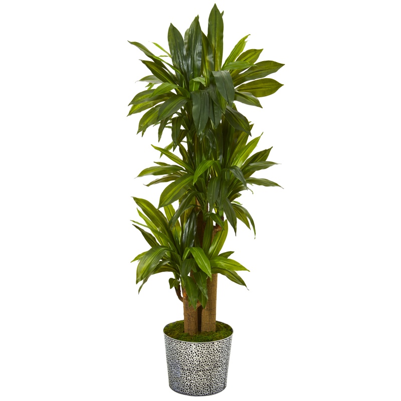 58” Artificial Corn Stalk Dracaena Plant in Black Embossed Tin Planter