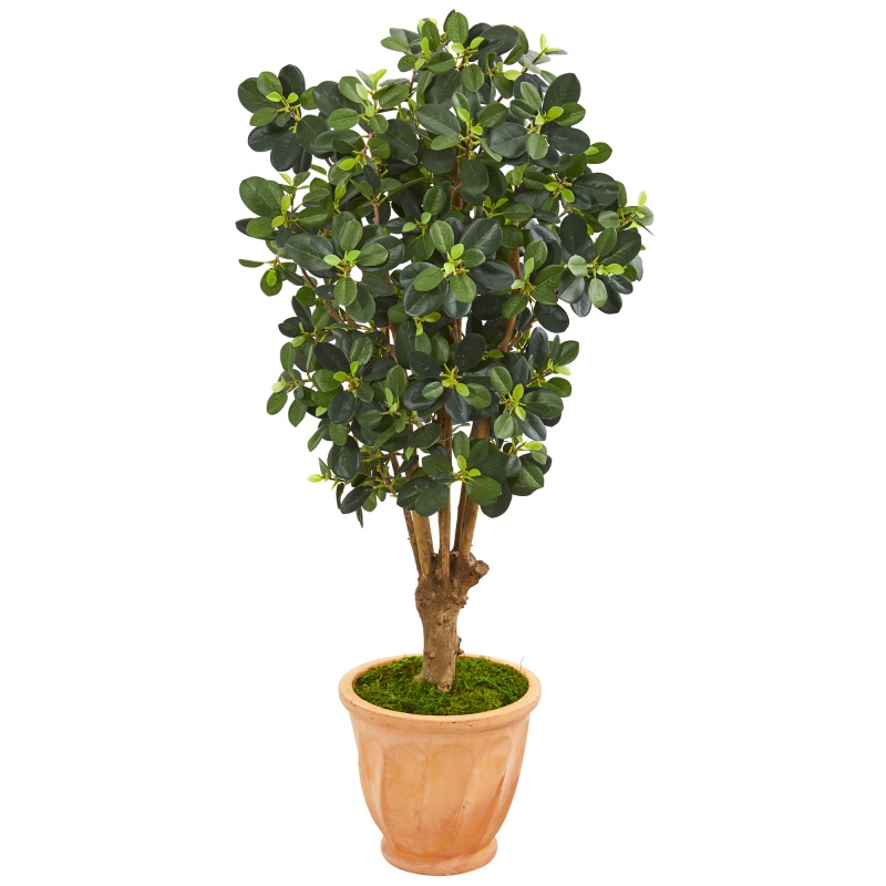 46 Inch Panda Ficus Artificial Tree in Terra Cotta Planter