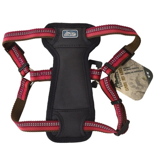 Buy Coastal K9 Explorer 1 Inch Padded Harness Berry Red Online