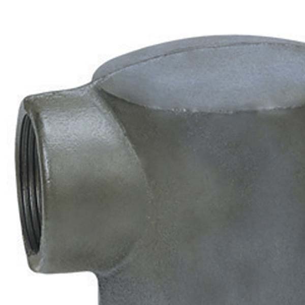 Petlift Watts Hair Interceptor