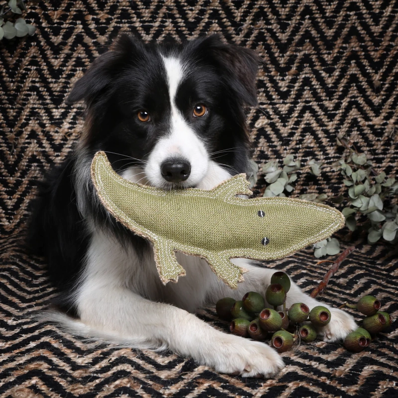 Outback Tails Steve The Cory Crocodile Jute Chew Toy - Sustainable Dog Fun