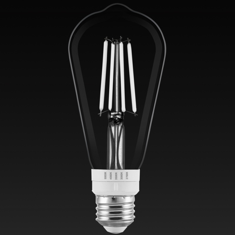 500 Lumens - 4.5 Watt - Led Edison Filament Bulb With 5 Selectable ...