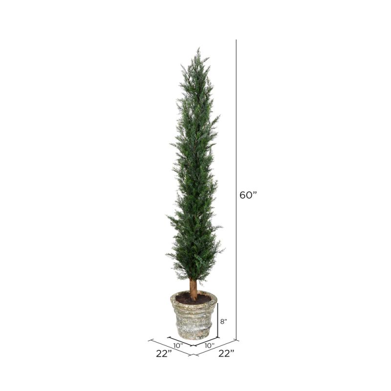 60" Potted Cedar Tree